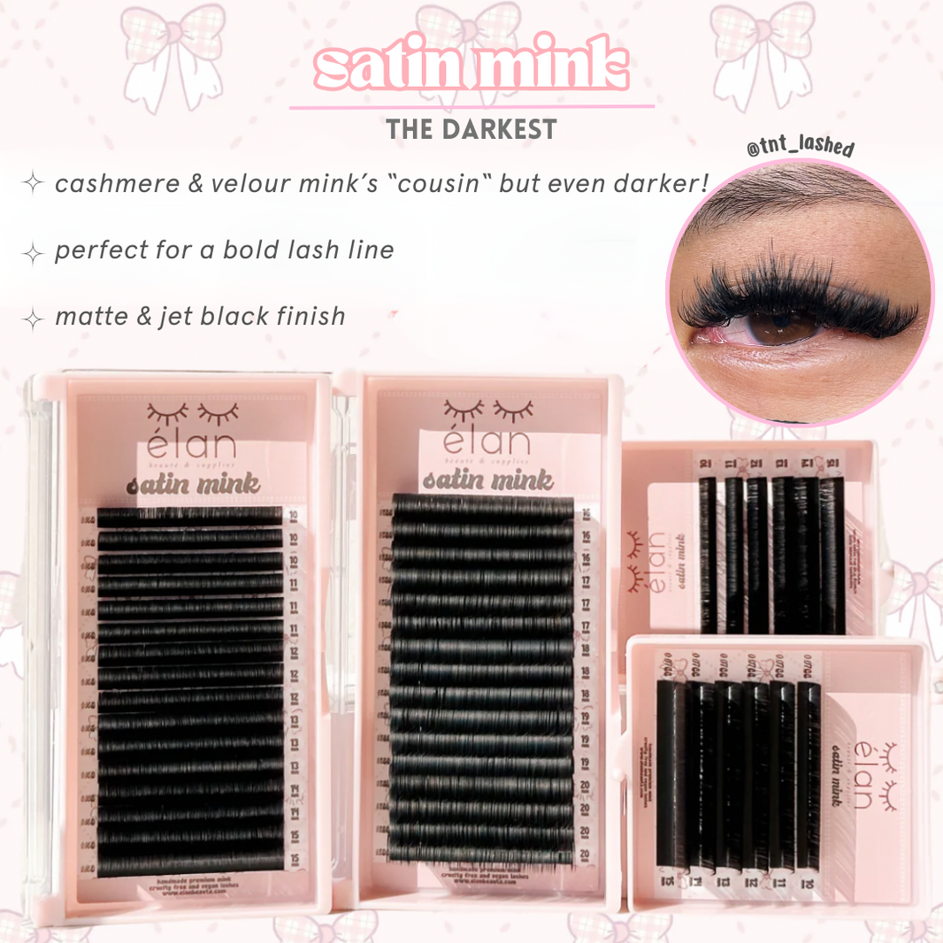 lash trays ⋆˚ ˖° – elan beaute and supplies